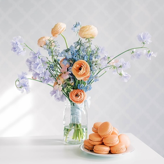 @TerrieNelson | Linktree